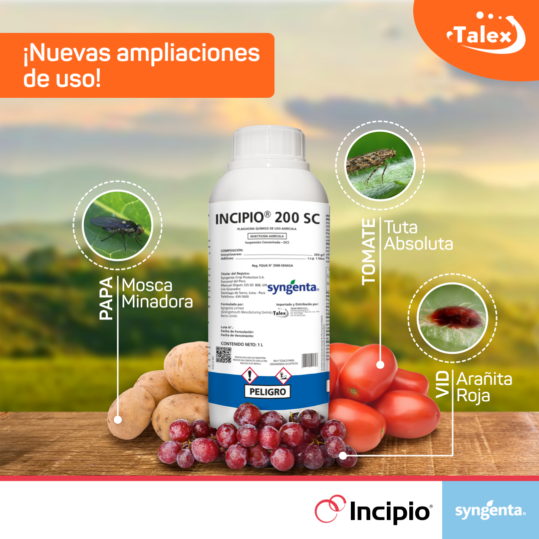 ¡Conoce los nuevos usos de Incipio! - Talex